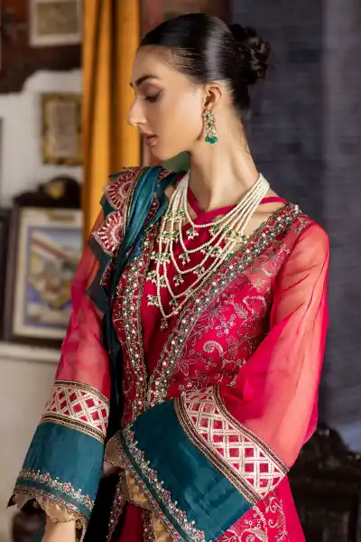 Aanchal (Organza Collection) – Libaas.US